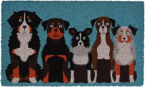 Rohožka z kokosového vlákna 45x75 cm – Esschert Design