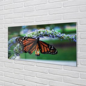 akrylový obraz Motýl na květině 125x50 cm