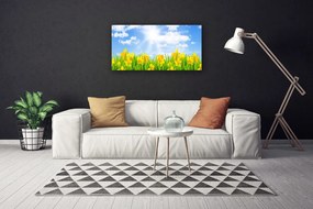 Obraz na plátně Narcisy Louka Tráva Příroda 100x50 cm