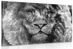 Obraz tvář lva v černobílém provedení Varianta: 60x40