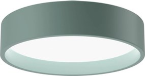 Stropní svítidlo Circle Surface LED 3000K 26,7 cm tlumená zelená