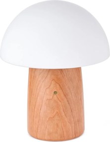 Stmívatelná stolní lampa v přírodní barvě se skleněným stínidlem (výška 32 cm) Alice – Gingko