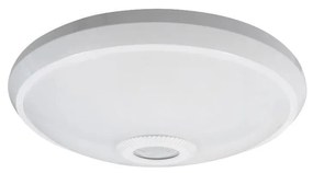 LED Stropní svítidlo se senzorem LED/12W/230V