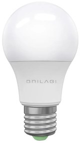 Brilagi | LED Žárovka ECOLINE A60 E27/15W/230V 6500K - Brilagi | BG0283