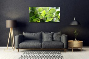 Obraz na skle Větve Listy Příroda Strom 120x60 cm
