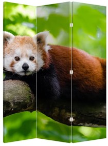 Paraván - Panda červená (126x170 cm)