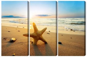 Vícedílný obraz Hvězdice Na Pláži 3D Nedostatek Nedostatek Plátno Canvas 120x80