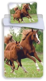 Bavlněné povlečení Horse 04 70 x 90 + 140 x 200 cm, český výrobce Tibex