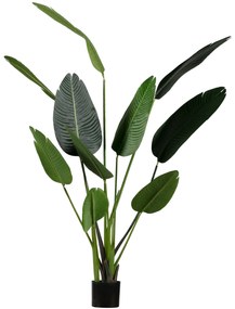 WOOOD Umělá rostlina STRELITZIA 164cm