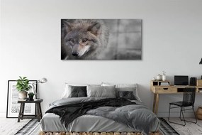 akrylový obraz Vlk 140x70 cm