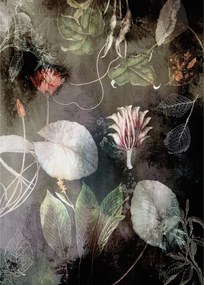 Komar Vliesová fototapeta Night Flowers 200 x 280 cm