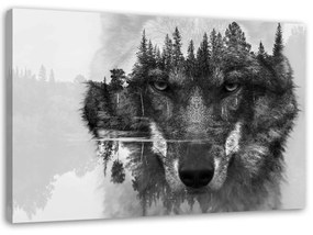 Obraz na plátně Wolf Forest černá a bílá - 100x70 cm
