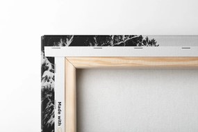 Obraz dřevěný domek u zasněžených borovicích v černobílém provedení