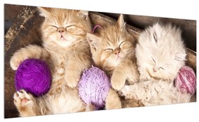Obraz spících koťat (100x40 cm)