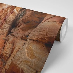 Samolepící fototapeta cestička Grand Canyonom