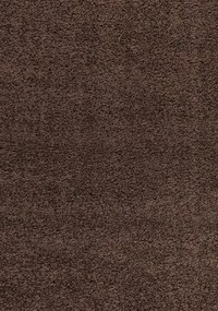 Vopi | Kusový koberec Dream Shaggy 4000 brown - Kulatý 120 cm průměr