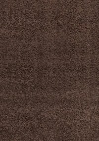 Vopi | Kusový koberec Dream Shaggy 4000 brown - 200 x 290 cm