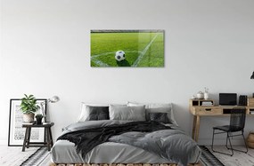 Obraz na skle Fotbalový stadion trávy 125x50 cm