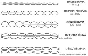2G Přikrývka a polštář Clivie set