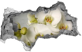 Wallmuralia Samolepící díra nálepka Bílá orchidej 95x73 cm