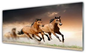 E-shop24, 125 x 50 cm, 2S - 116104300,  Obraz na skle - Divoké koně 125 x 50 cm