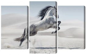 Vícedílný obraz Kůň V Poušti 3D Nedostatek Nedostatek Přírodní plátno 150x100