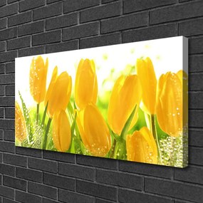 Obraz na plátně Tulipány Květiny Rostlina 140x70 cm