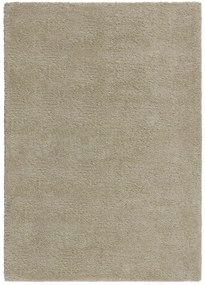 Flair Rugs, Kusový koberec Shaggy Teddy Natural, 120x170, béžová, ložnice