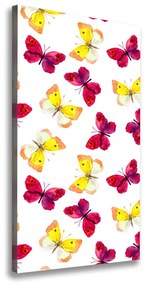 Wallmuralia Vertikální Foto obraz na plátně Barevní motýli 50x100