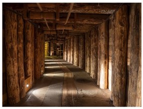 Fototapeta - Wooden passage