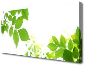 Obraz na plátně Plátky Rostlina Příroda 140x70 cm
