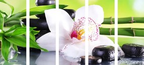 5-dílný obraz japonská orchidej Varianta: 100x50