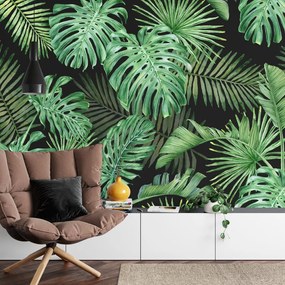 Fototapeta Monstera Odchází Hladký vinyl 520x318