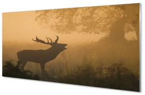 akrylový obraz jelen sunrise 100x50 cm