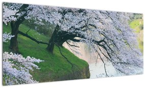 Obraz kvetoucích stromů (100x40cm)