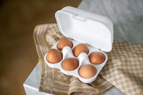 Úložná nádoba na vejce Eggs To Go Organic Nature mini zelená