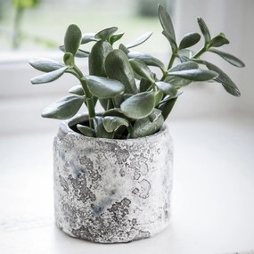 Garden Trading Obal na květiny Withington 10 cm, šedá barva, keramika