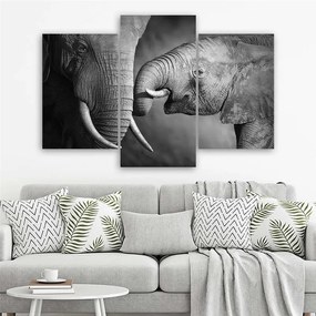 Gario Obraz na plátně Sloní rodina - 3 dílný Rozměry: 60 x 40 cm