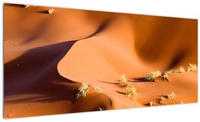 Obraz pouštích dun (100x40cm)