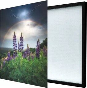 Led Podsvícený Obraz Lupina rámeček černý Elegance Slim 40x50 cm napájecí adaptér