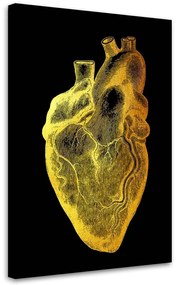 Gario Obraz na plátně Zlatá anatomie, srdce - Gab Fernando Rozměry: 40 x 60 cm