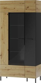Casarredo - Komfort nábytek Vitrína LUCAS 12, 2-dveřová, dub artisan/černá mat