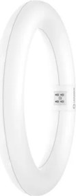 LED kruhová zářivková trubice T9 G10q LEDVANCE SubstiTUBE 11W (22W) neutrální bílá (4000K)