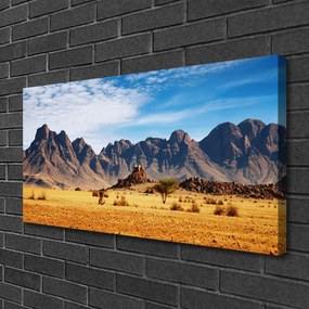 Obraz na plátně Poušť Hory Krajina 100x50 cm