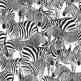Vliesová černobílá tapeta se zebrami 139155, Paradise, Esta Home