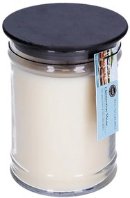 Bridgewater Candle Company Vonná svíčka velká  Clementine Shine-524g