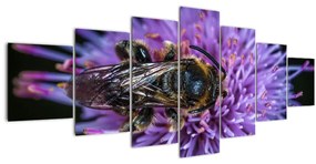 Obraz včely na květině (210x100 cm)