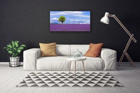 Obraz na plátně Pole Levandule Strom Příroda 120x60 cm