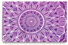 Malvis ® Obraz Mandala fialové slunce Velikost (šířka x výška): 150x100 cm
