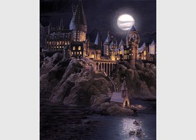 Dětská vliesová fototapeta na zed' Harry Potter | 225 x 270 cm | DFTD3P5177